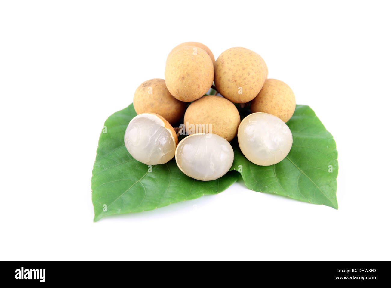 Longan tree hi-res stock photography and images - Alamy