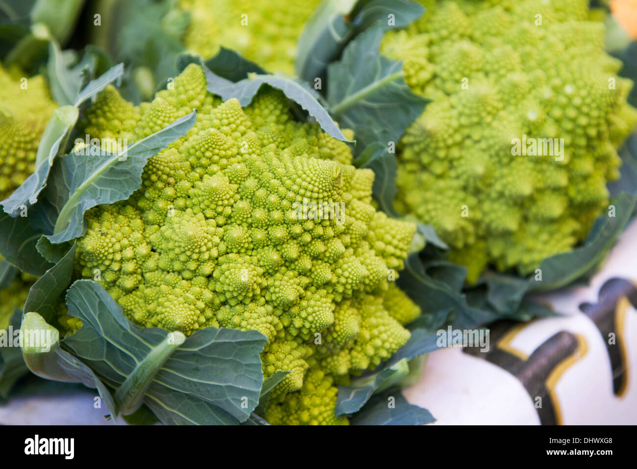 Cabbage romanesco hi-res stock photography and images - Alamy