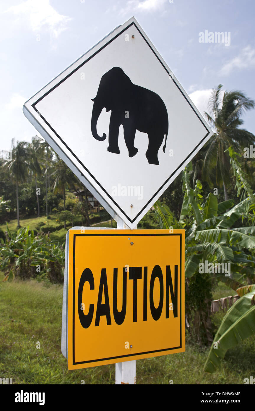 Road sign warning against crossing elephants Stock Photo - Alamy
