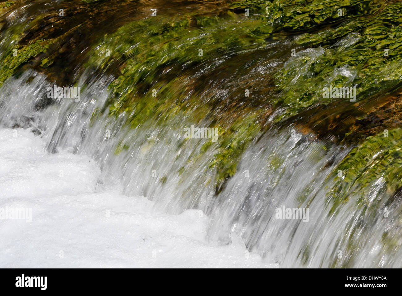 Baniyas hi-res stock photography and images - Alamy