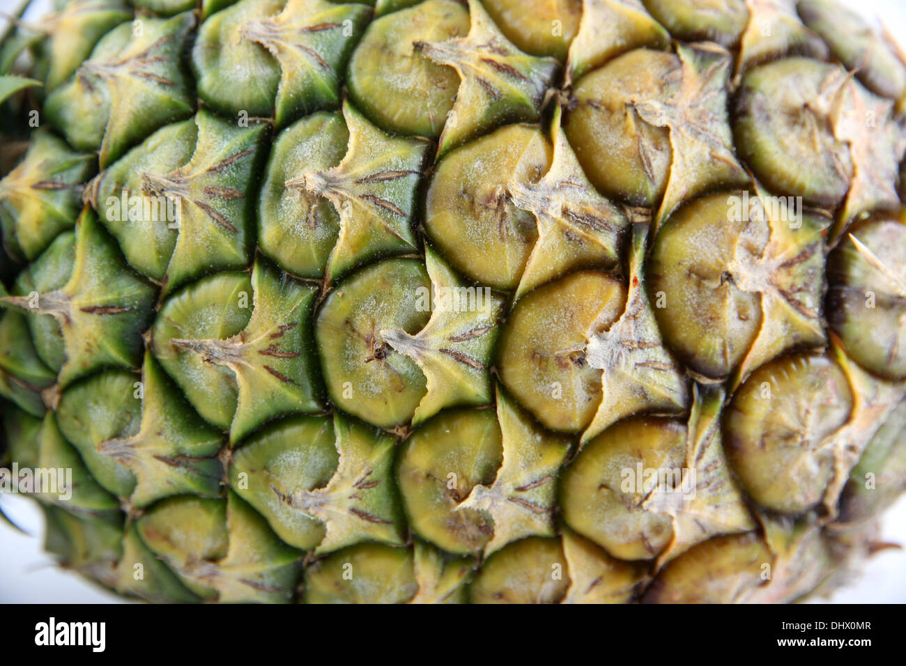 The Pineapple close-up images Stock Photo - Alamy