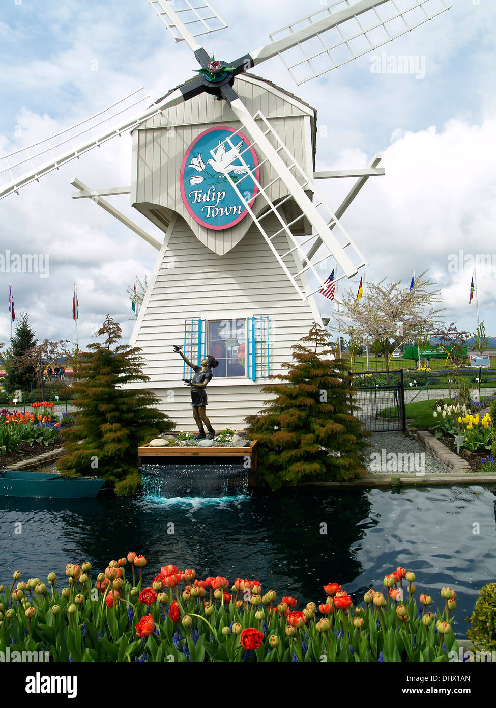 The windmill at Tulip Town,Mt.Vernon,Washington State Stock Photo - Alamy