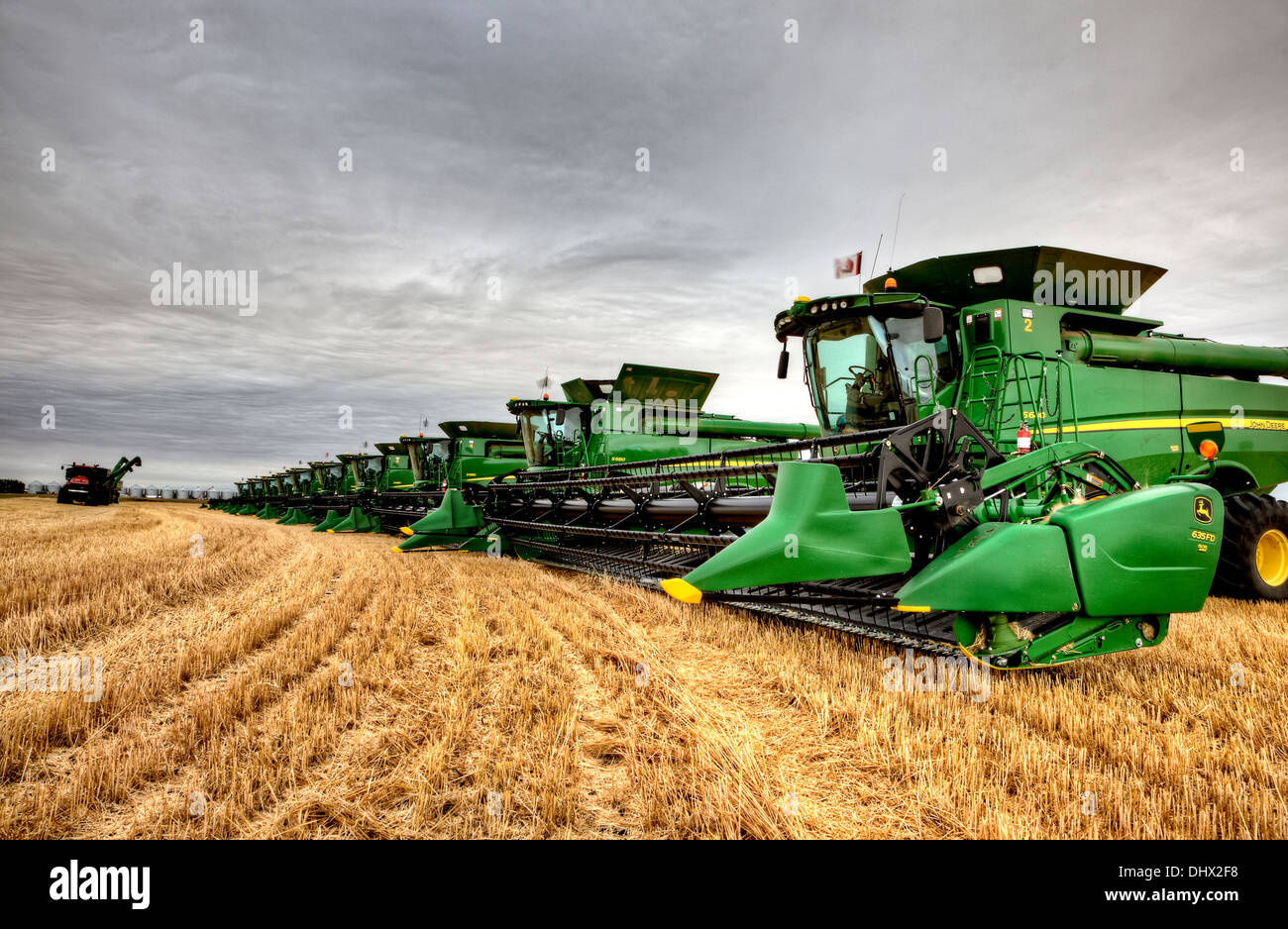 Pattern combines hi-res stock photography and images - Alamy