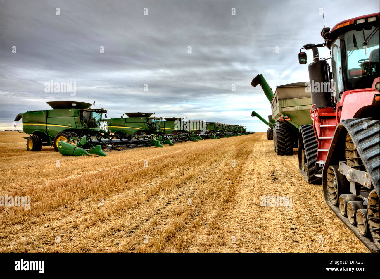Pattern combines hi-res stock photography and images - Alamy
