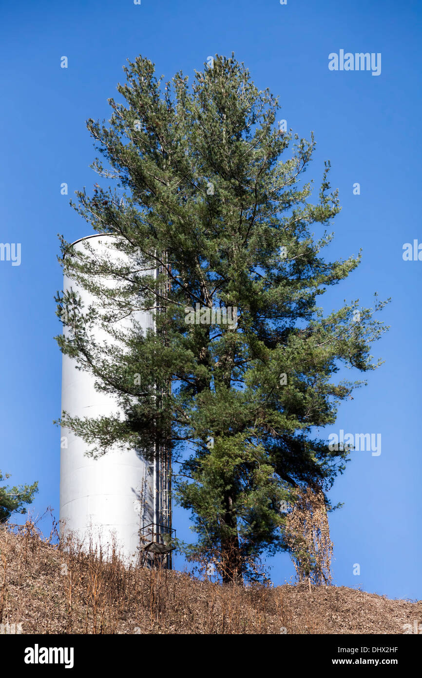 Jackson paper manufacturing hi-res stock photography and images - Alamy