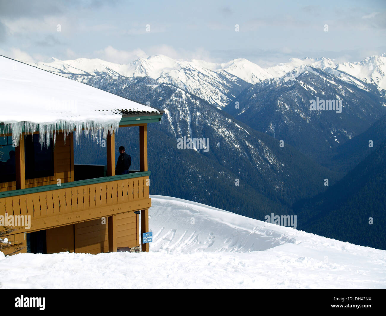 Winter snow at Hurricane Ridge,Olympic National Park,Washington State ...