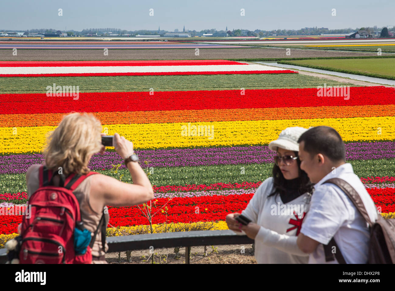 Netherlands, Lisse, Tulip fields. High angle view from Keukenhof ...