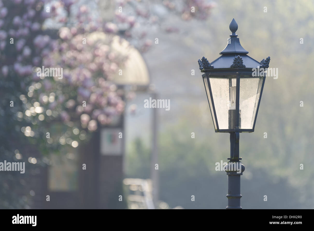 Park in the morning light hi-res stock photography and images - Alamy