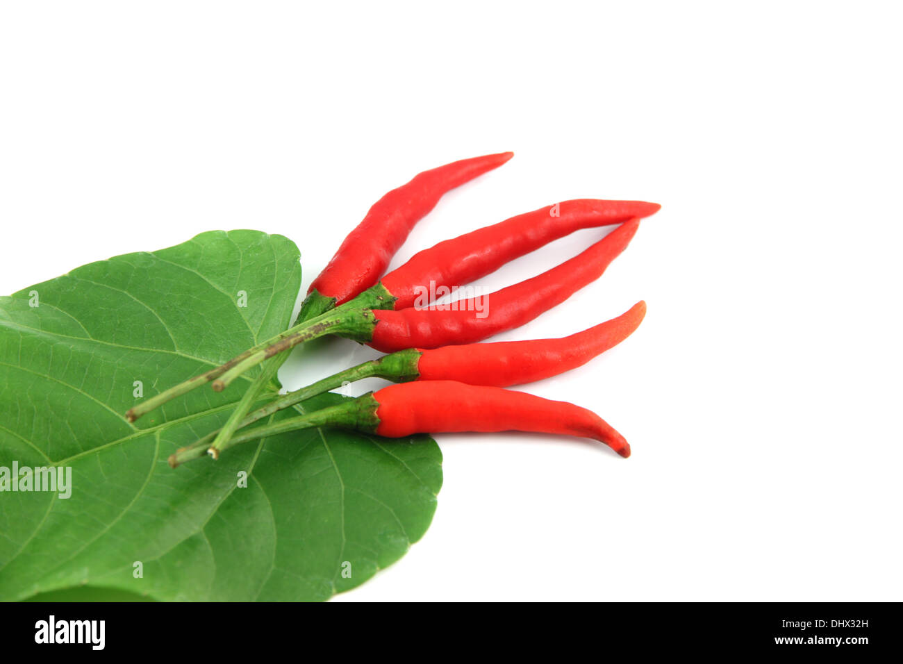 Chilli placed and green leaves on white background Stock Photo - Alamy
