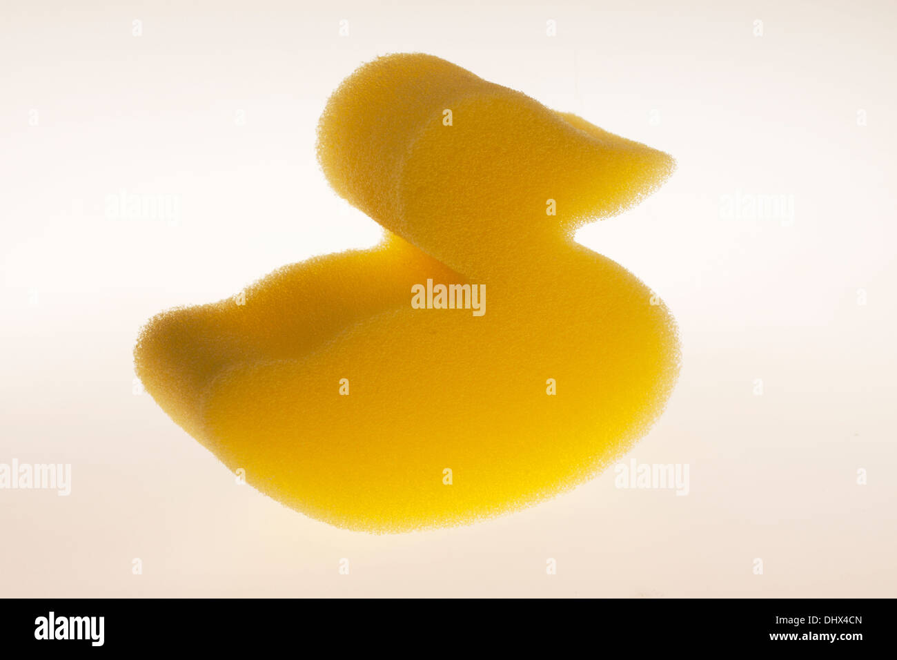 Sponge studio hi-res stock photography and images - Alamy