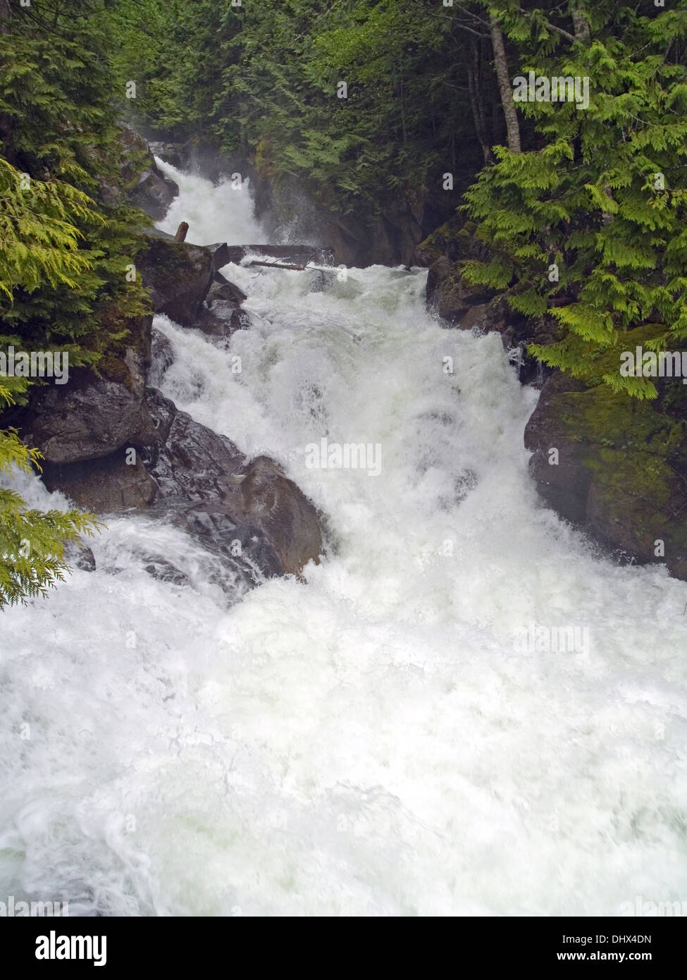 The raging Deception Falls on the Cascade Loop,Washington State Stock ...