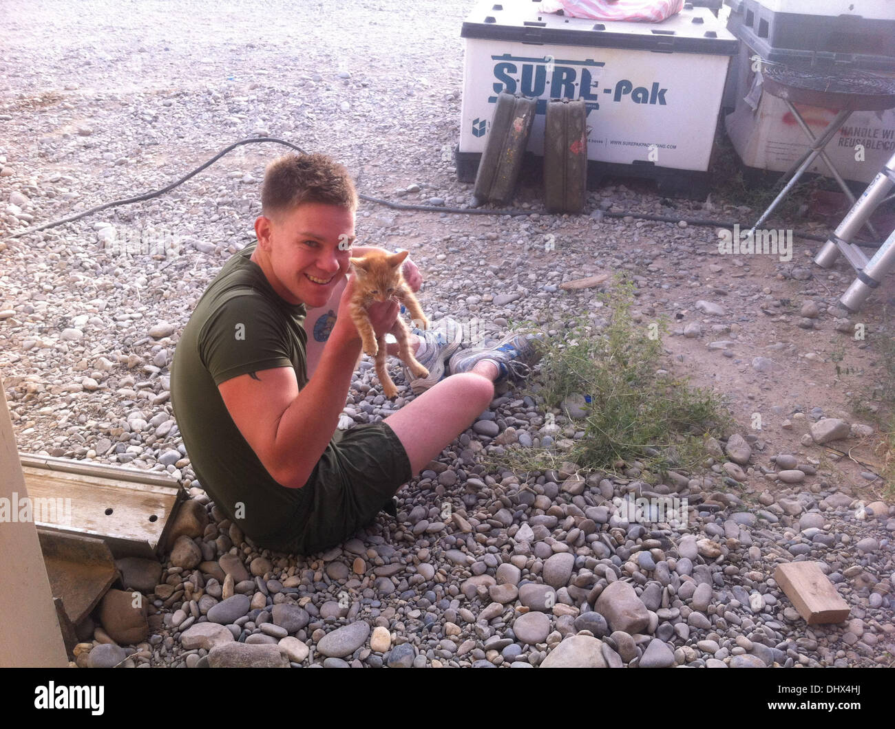 US MARINE RESCUES FOUR ORPHAN RABBITS A U.S. Marine Corps unit worker ...