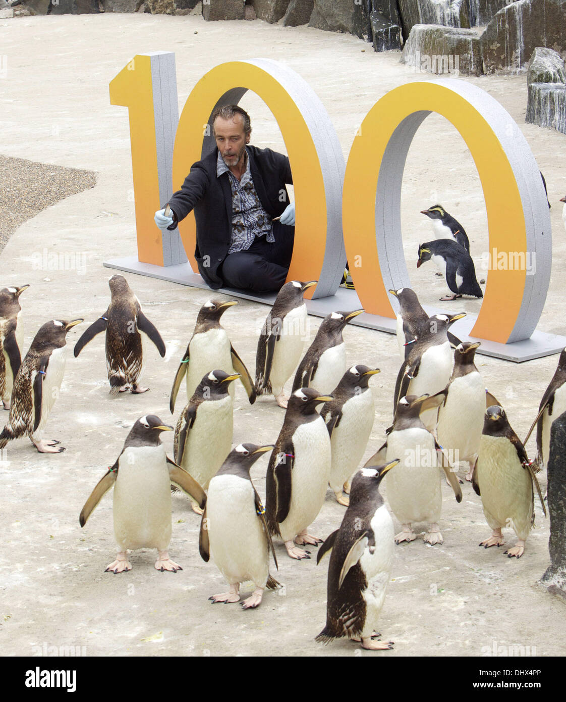 Actor John Hannah stopped by Edinburgh Zoo to celebrate the famous ...