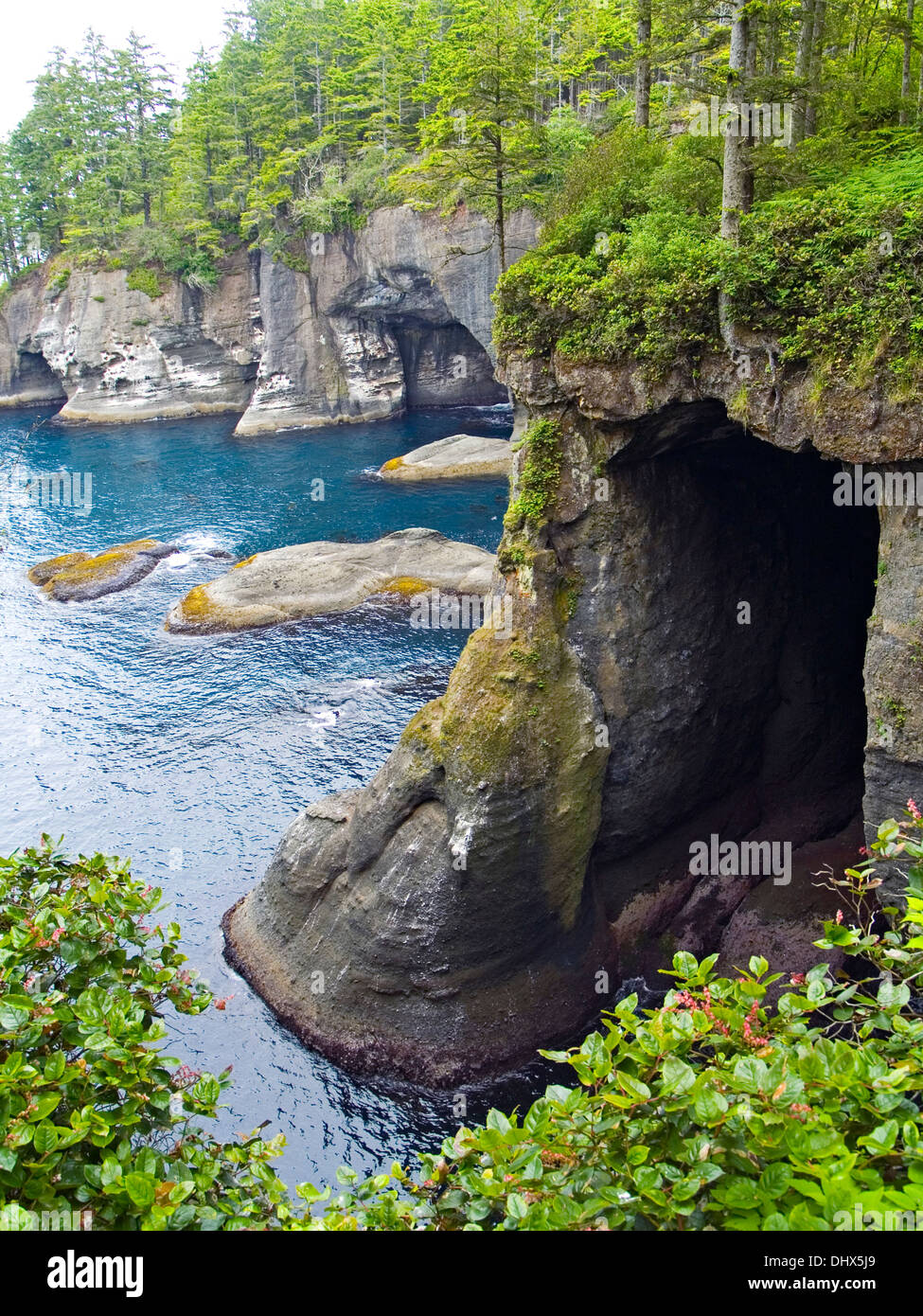 Cape Flattery,Olympic Peninsula,Washington State Stock Photo - Alamy