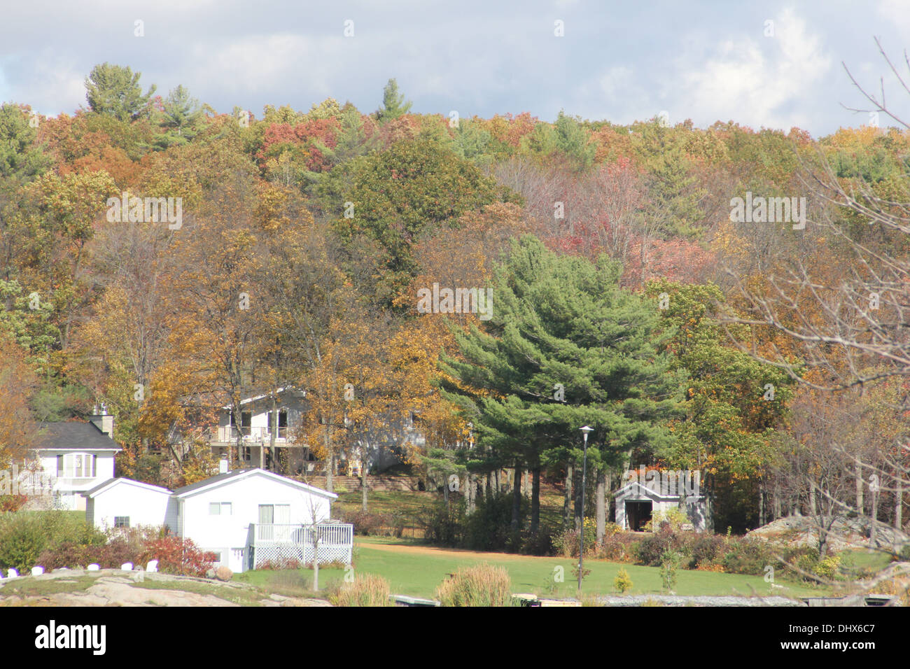 Scenic view of buildings just below the tree line at the start of the ...