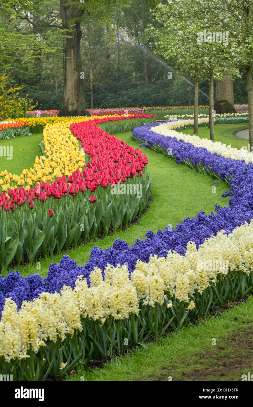 Netherlands, Lisse, Keukenhof gardens Stock Photo - Alamy