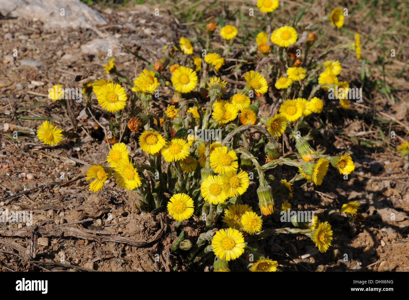 Medical bo hi-res stock photography and images - Alamy
