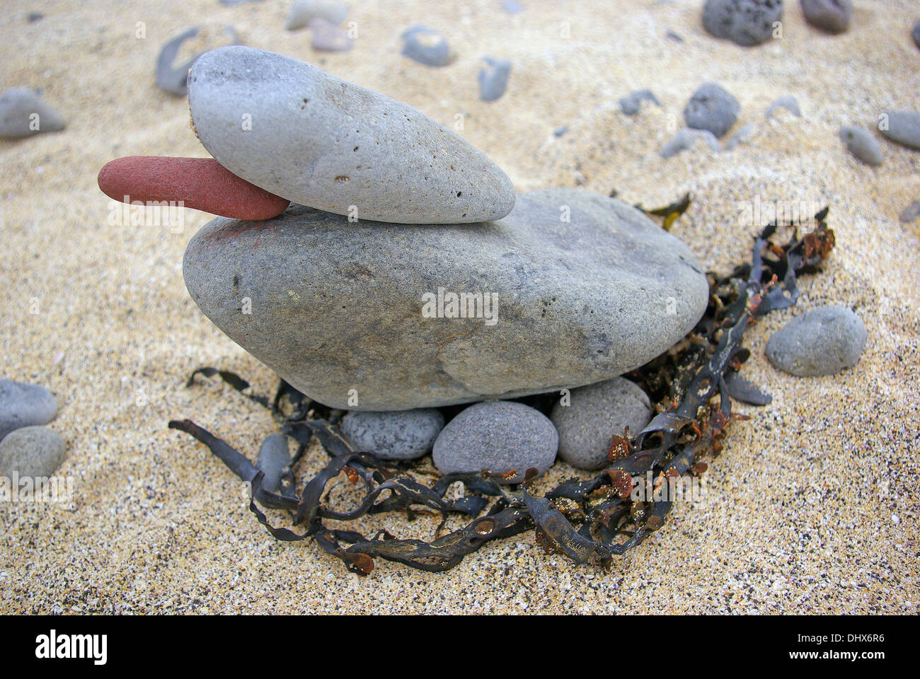 Stoneduck hi-res stock photography and images - Alamy