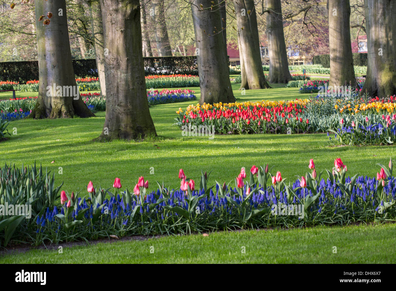 Netherlands, Lisse, Keukenhof gardens Stock Photo - Alamy