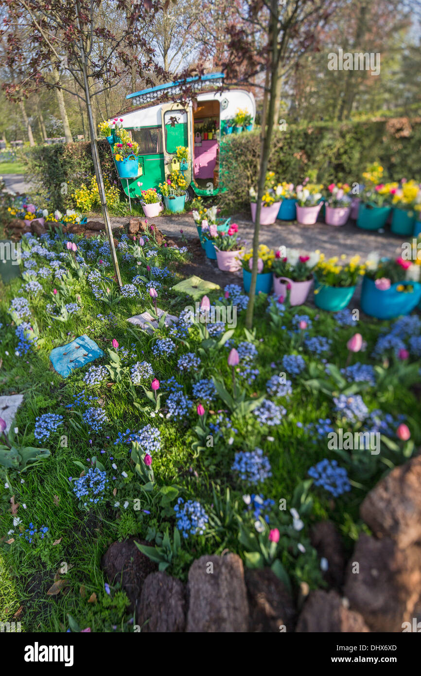 Hyacinths in famous keukenhof hi-res stock photography and images - Alamy