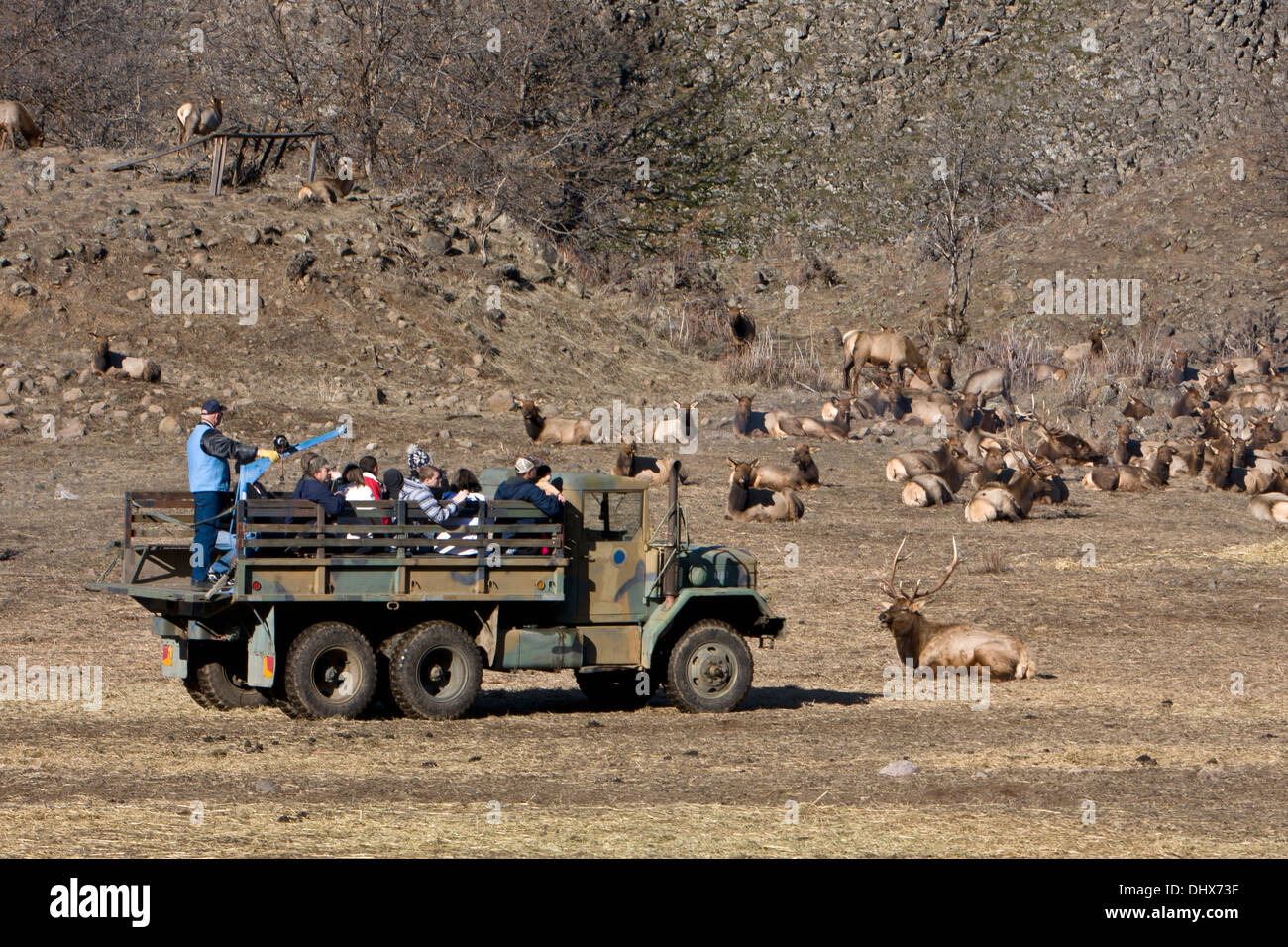 Refuge truck hi-res stock photography and images - Alamy