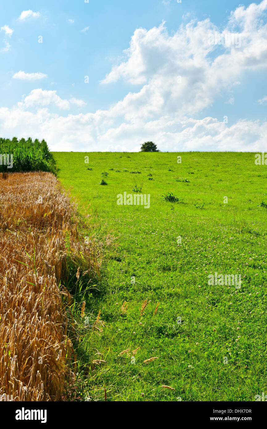 Sow the fields hi-res stock photography and images - Alamy