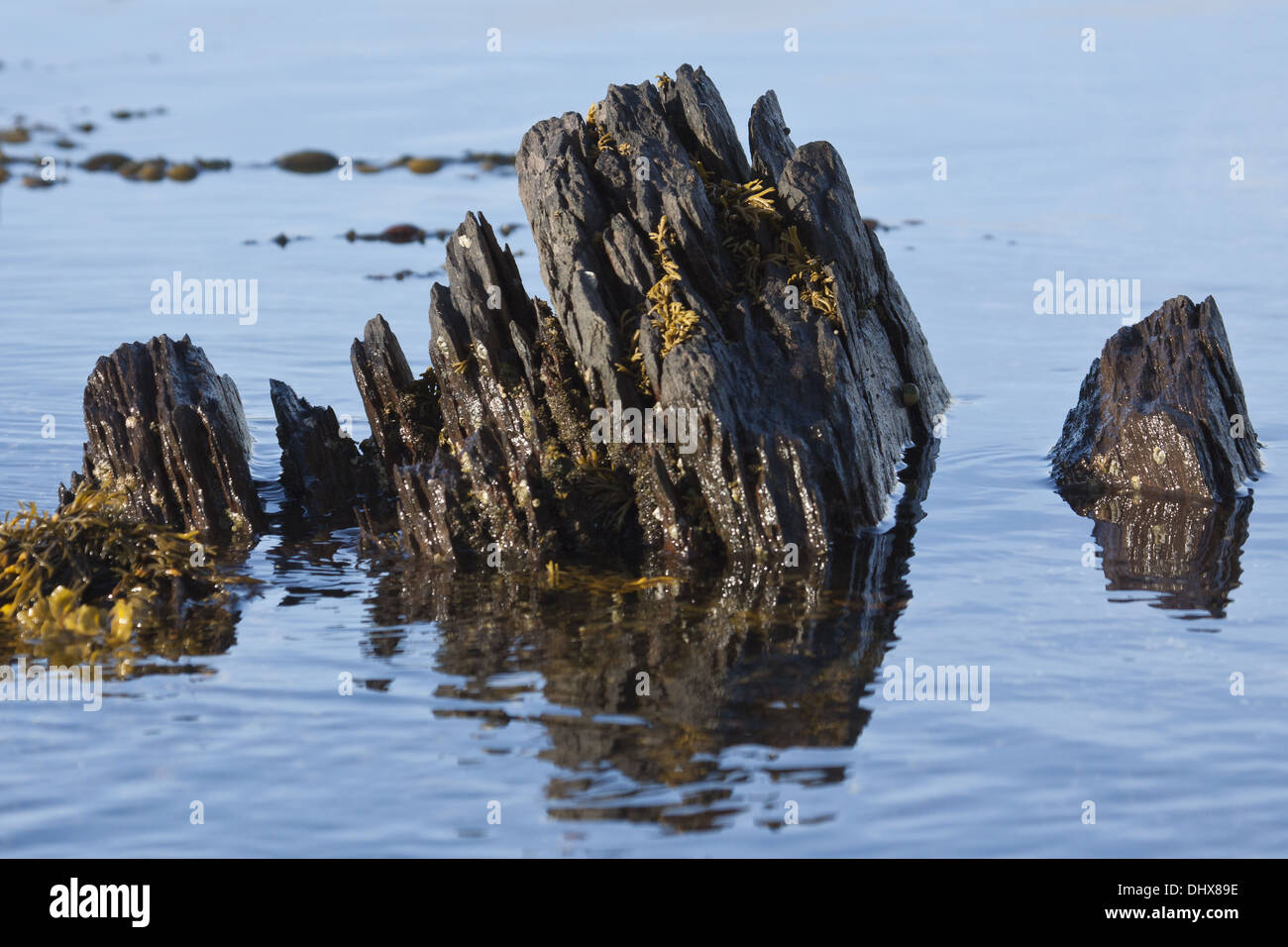 Rock in the Atlantic see in Ireland Stock Photo - Alamy