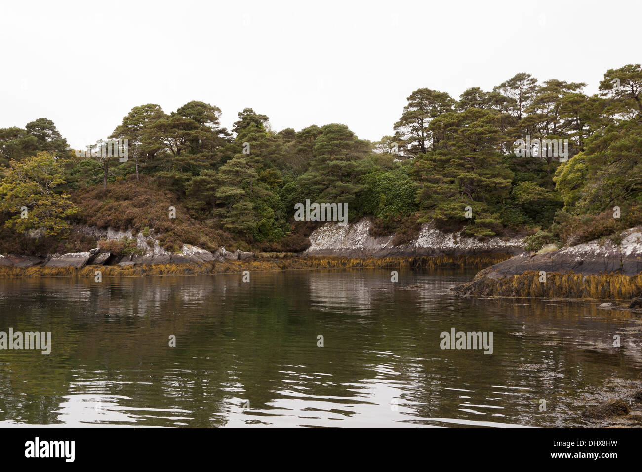 Bantry Bay in Ireland Stock Photo - Alamy