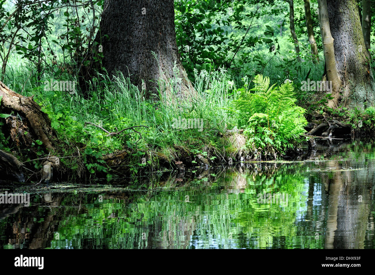 on the shore Stock Photo - Alamy