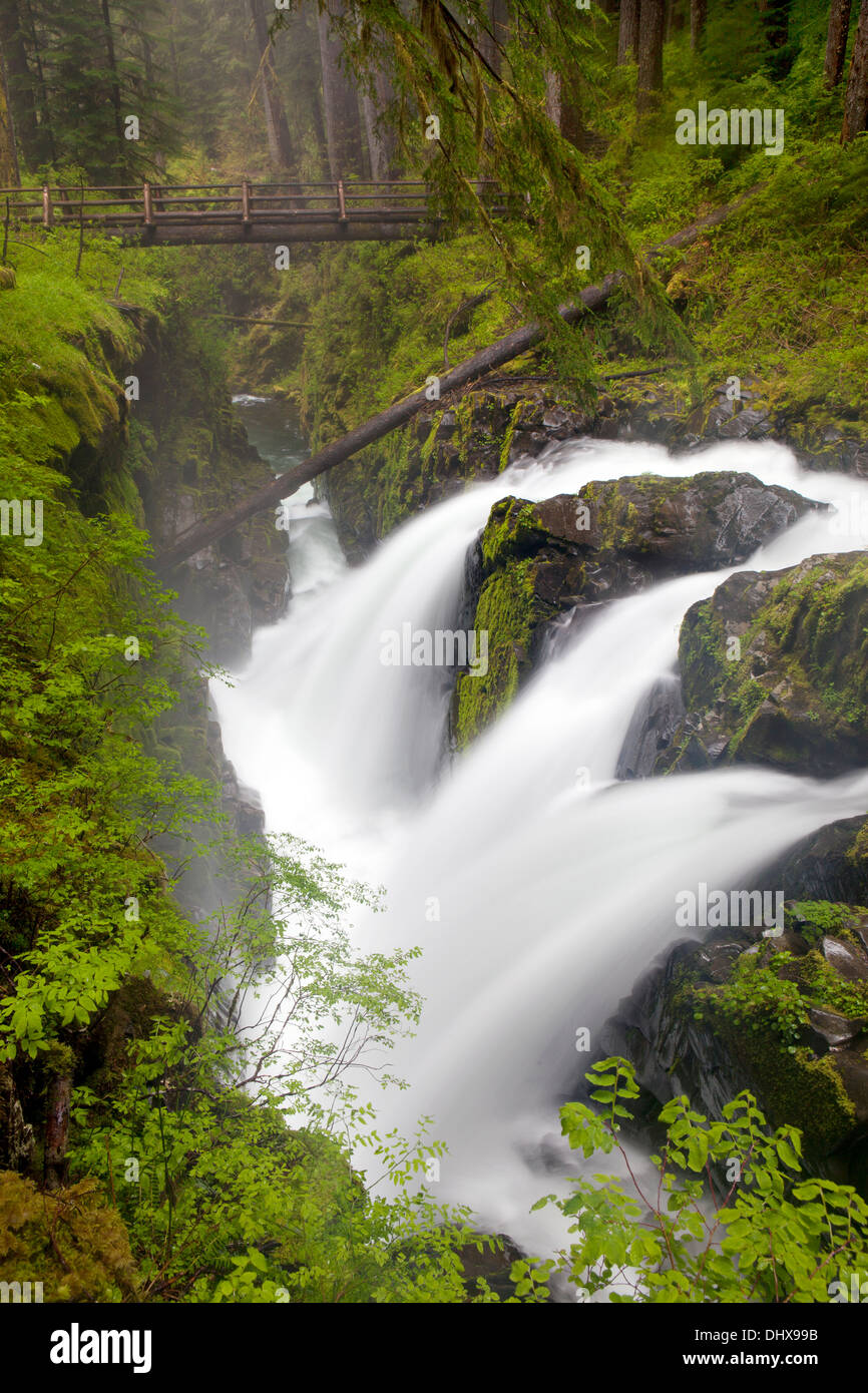 Sol duc hi-res stock photography and images - Alamy
