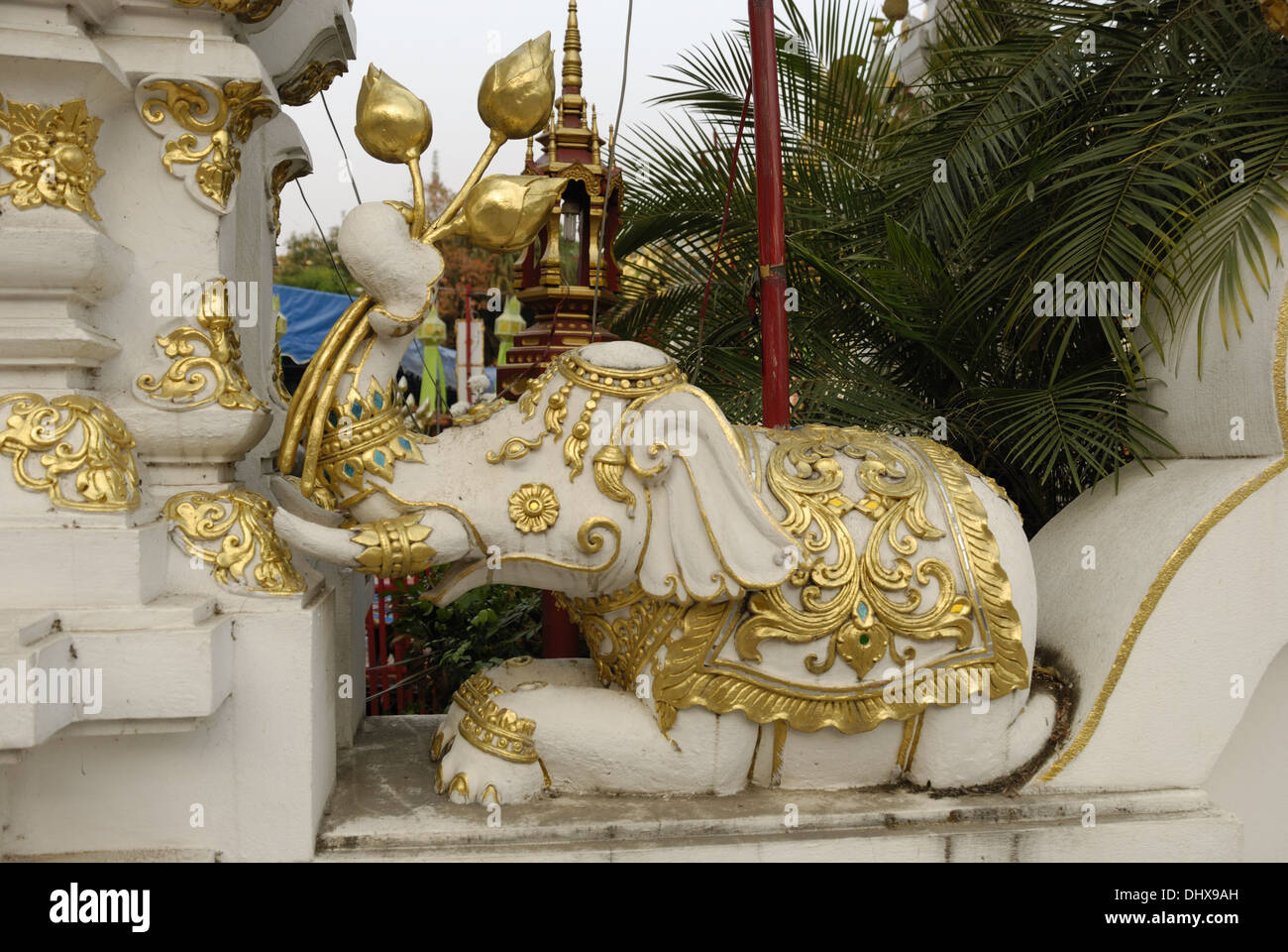 Mùan hi-res stock photography and images - Alamy