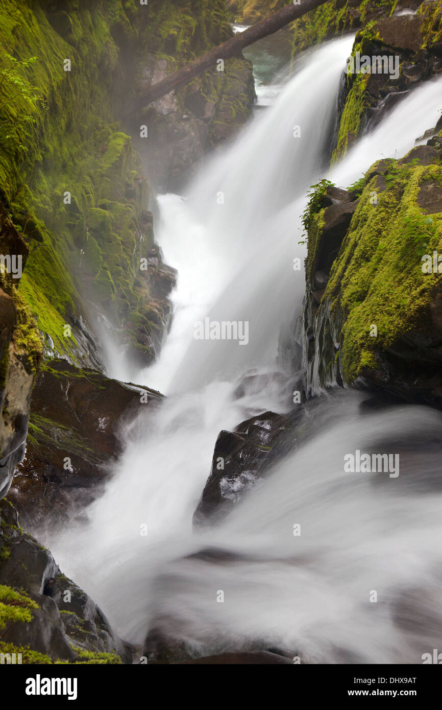 Sol duc hi-res stock photography and images - Alamy