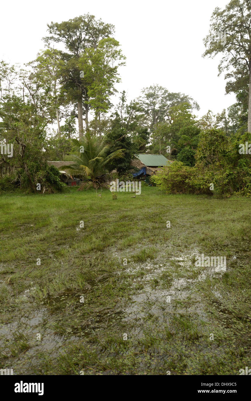 Marshy landscape hi-res stock photography and images - Alamy