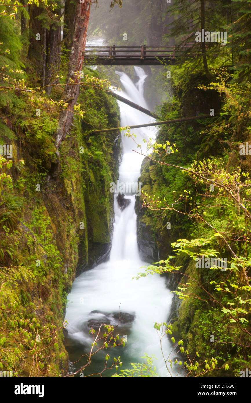 Sol Duc Falls in Olympic National Park, Washington Stock Photo - Alamy