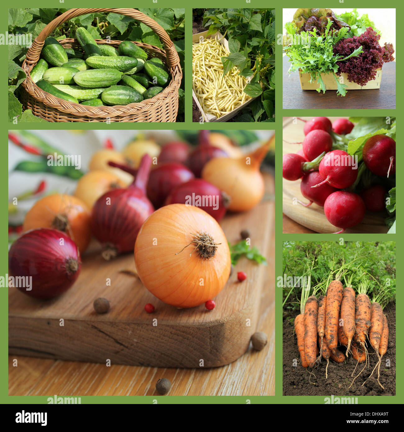 Collage with fresh natural vegetables Stock Photo - Alamy