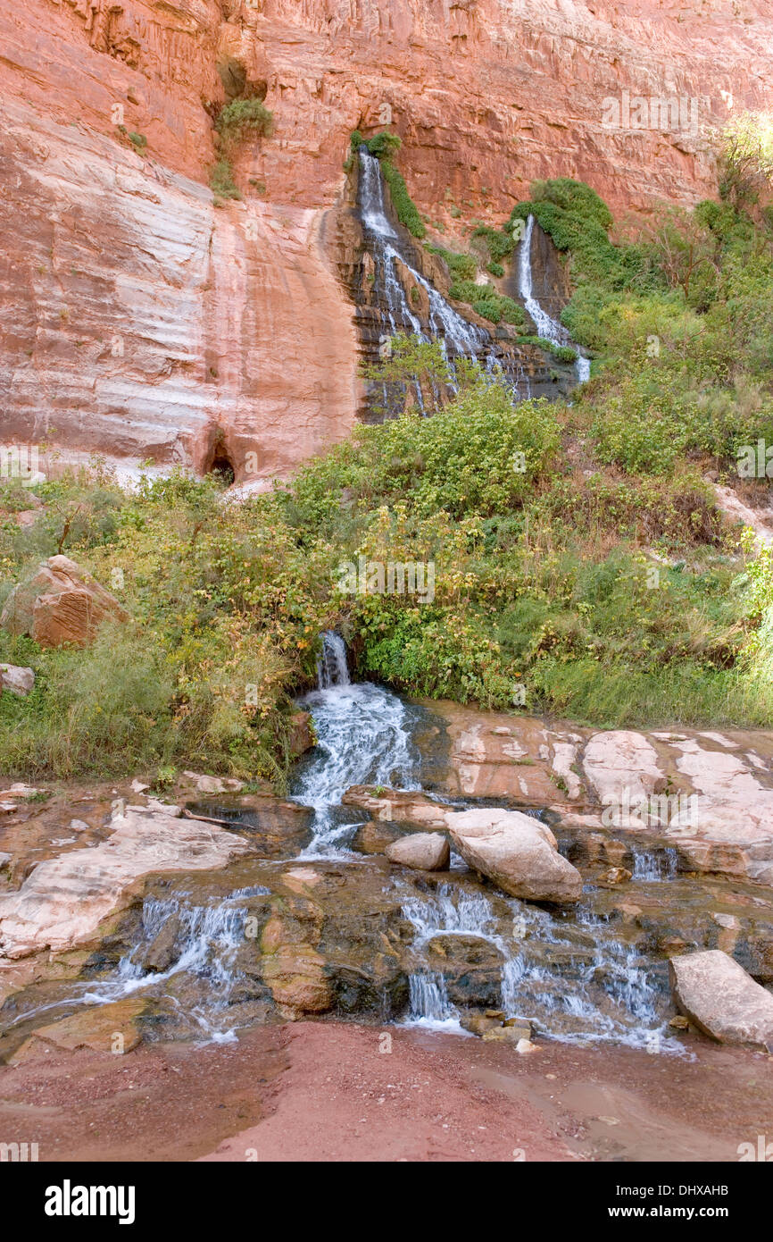 Vaseys paradise hi-res stock photography and images - Alamy