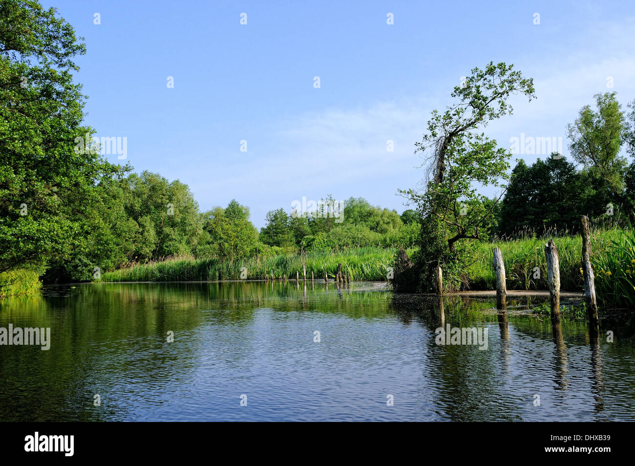 Spree forest canal hi-res stock photography and images - Alamy