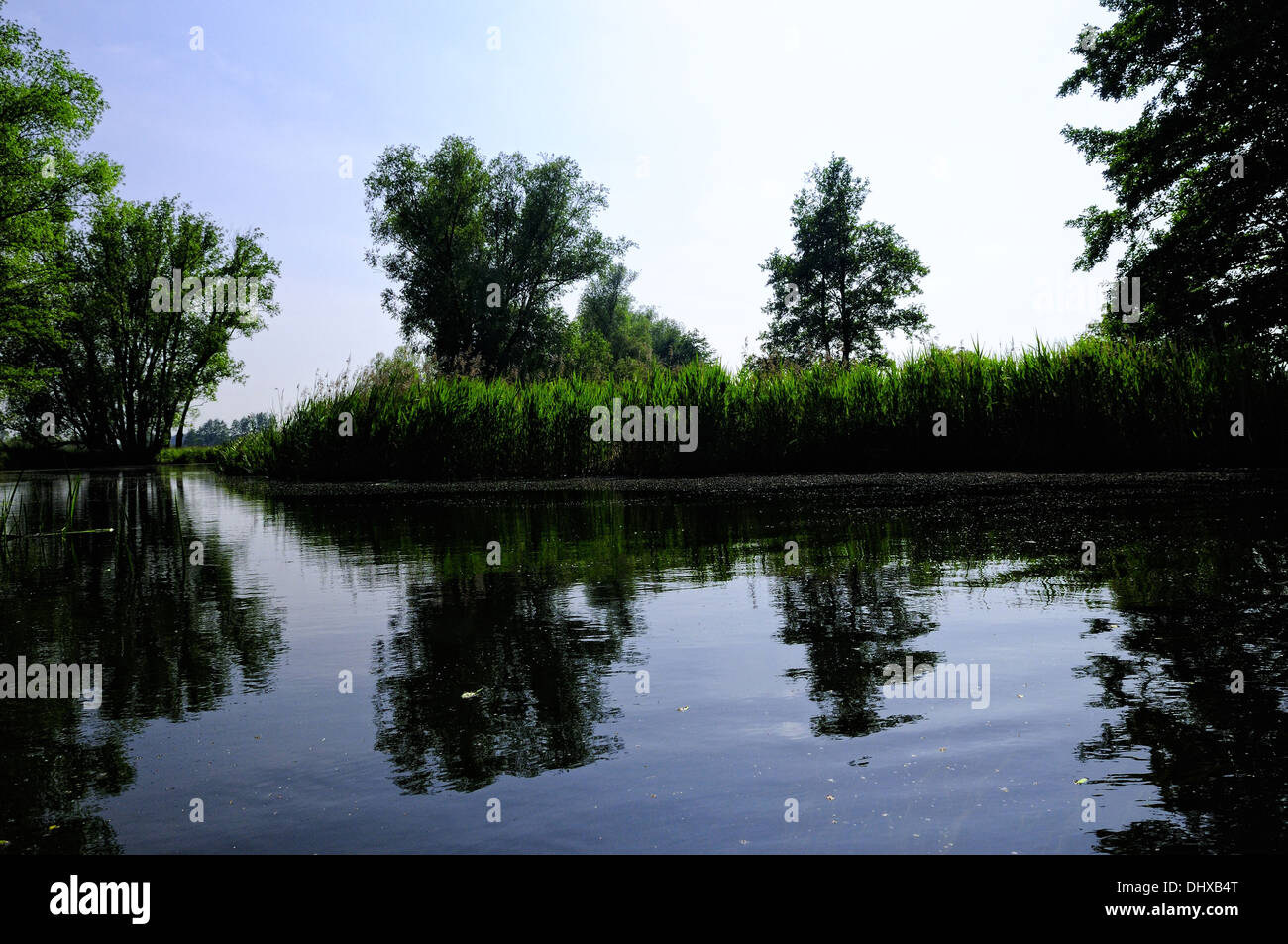 Spree Forest Landscape High Resolution Stock Photography and Images - Alamy