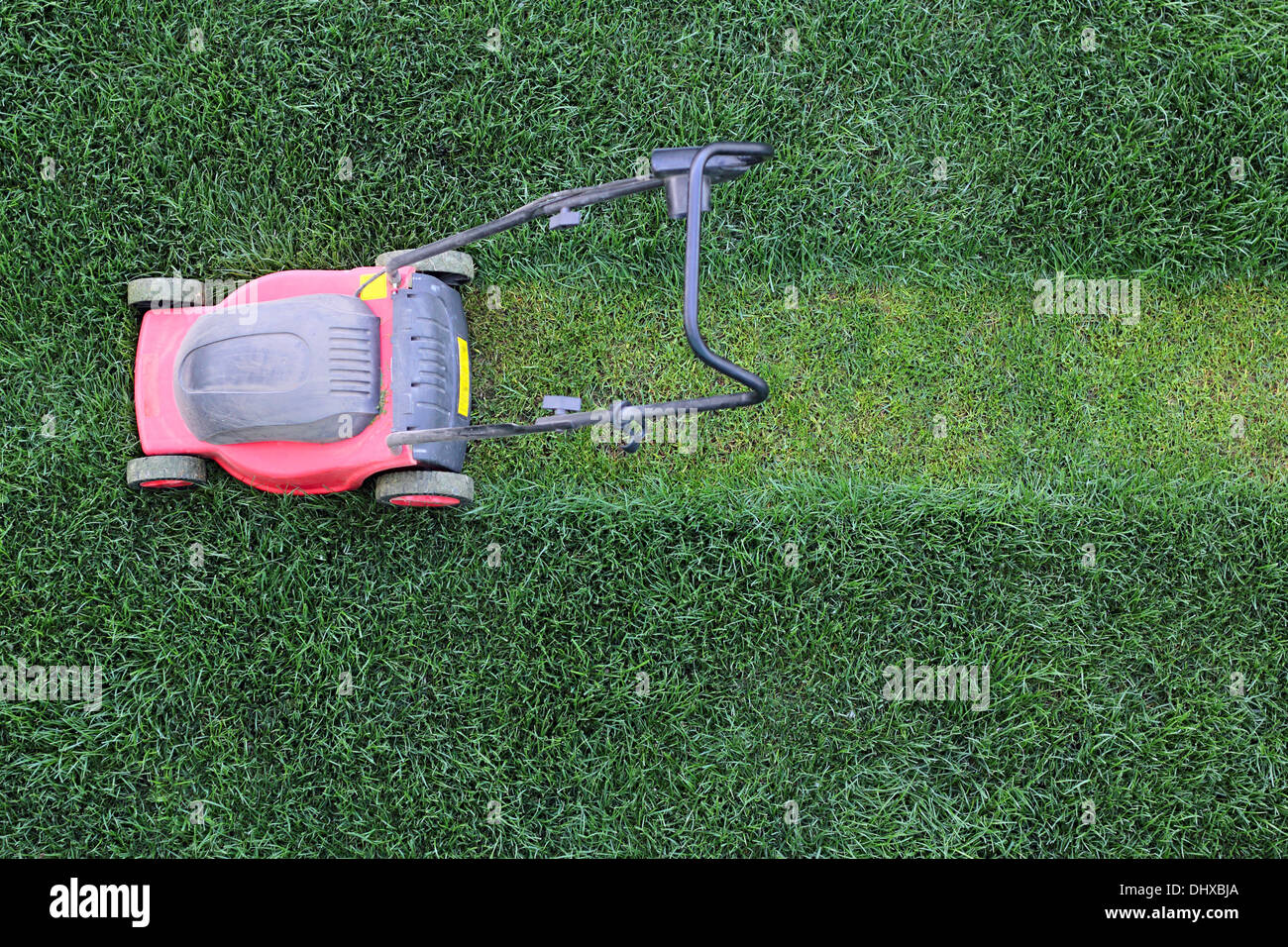 Greenfield grass herb hi-res stock photography and images - Alamy