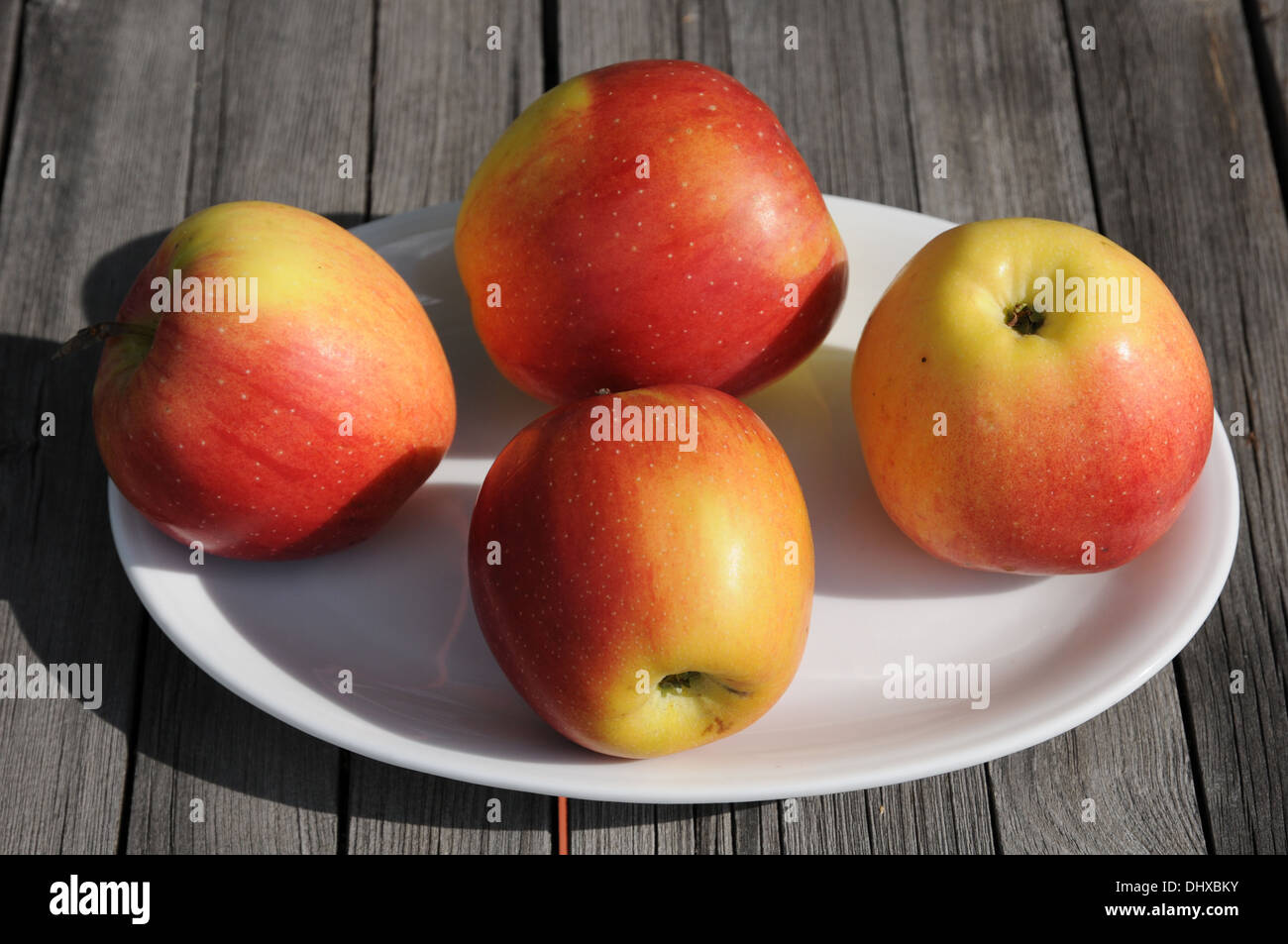 Apple Florina High Resolution Stock Photography and Images - Alamy