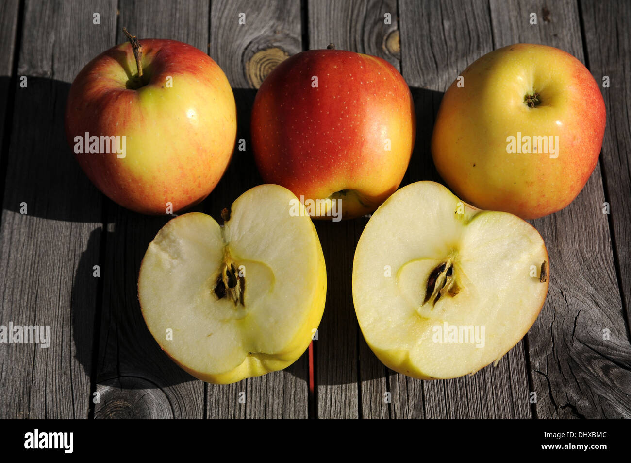 Apple Florina High Resolution Stock Photography and Images - Alamy