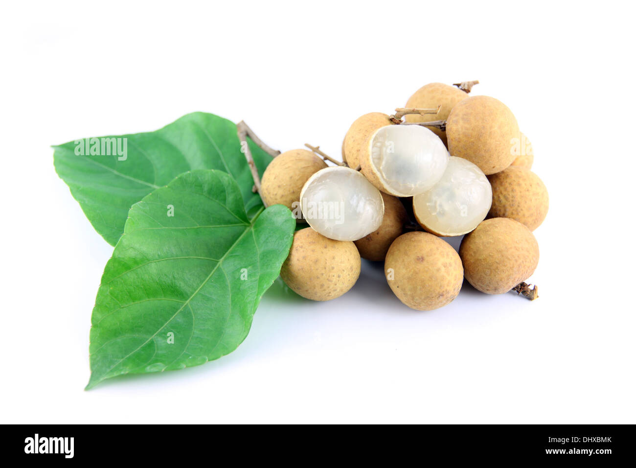 Closeup Longan on white background Stock Photo - Alamy
