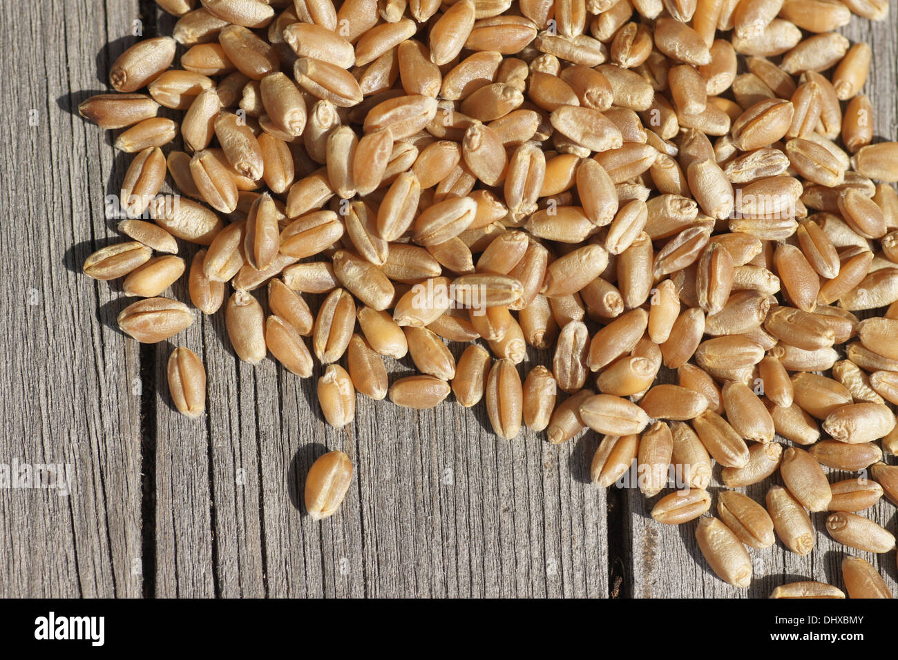 Wheat hi-res stock photography and images - Alamy