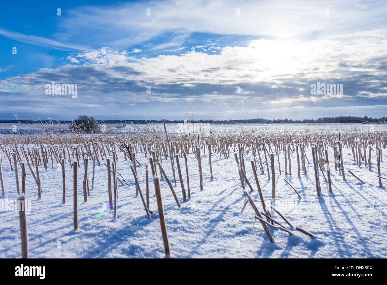 Snow low angle hi-res stock photography and images - Alamy