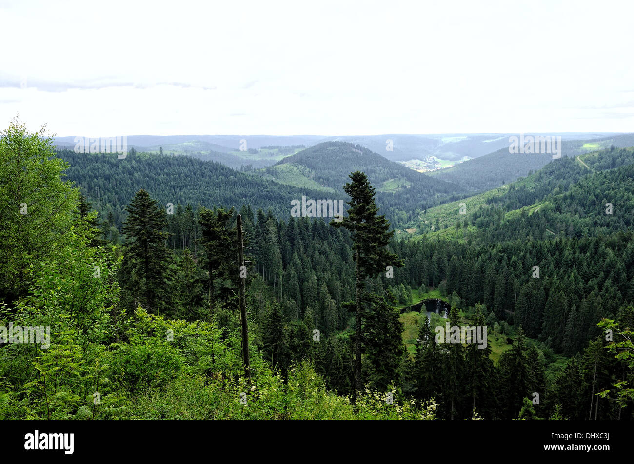 Mountains black forest germany hi-res stock photography and images - Alamy