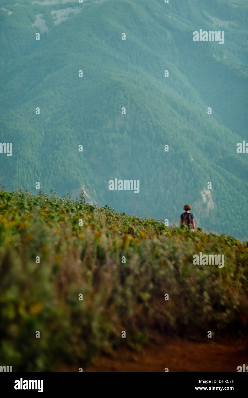 Rear remote hi-res stock photography and images - Alamy