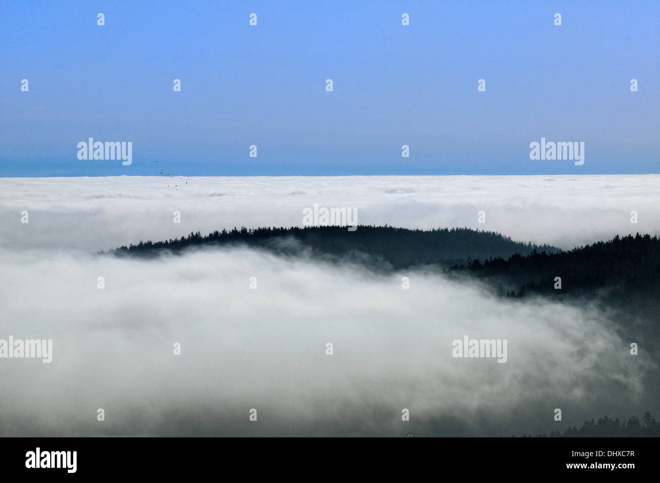 Above fog hi-res stock photography and images - Alamy