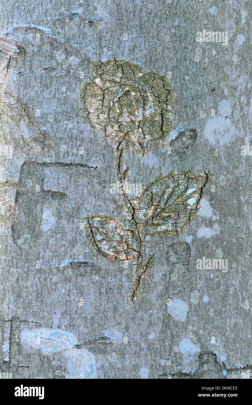 Carved flower hi-res stock photography and images - Alamy