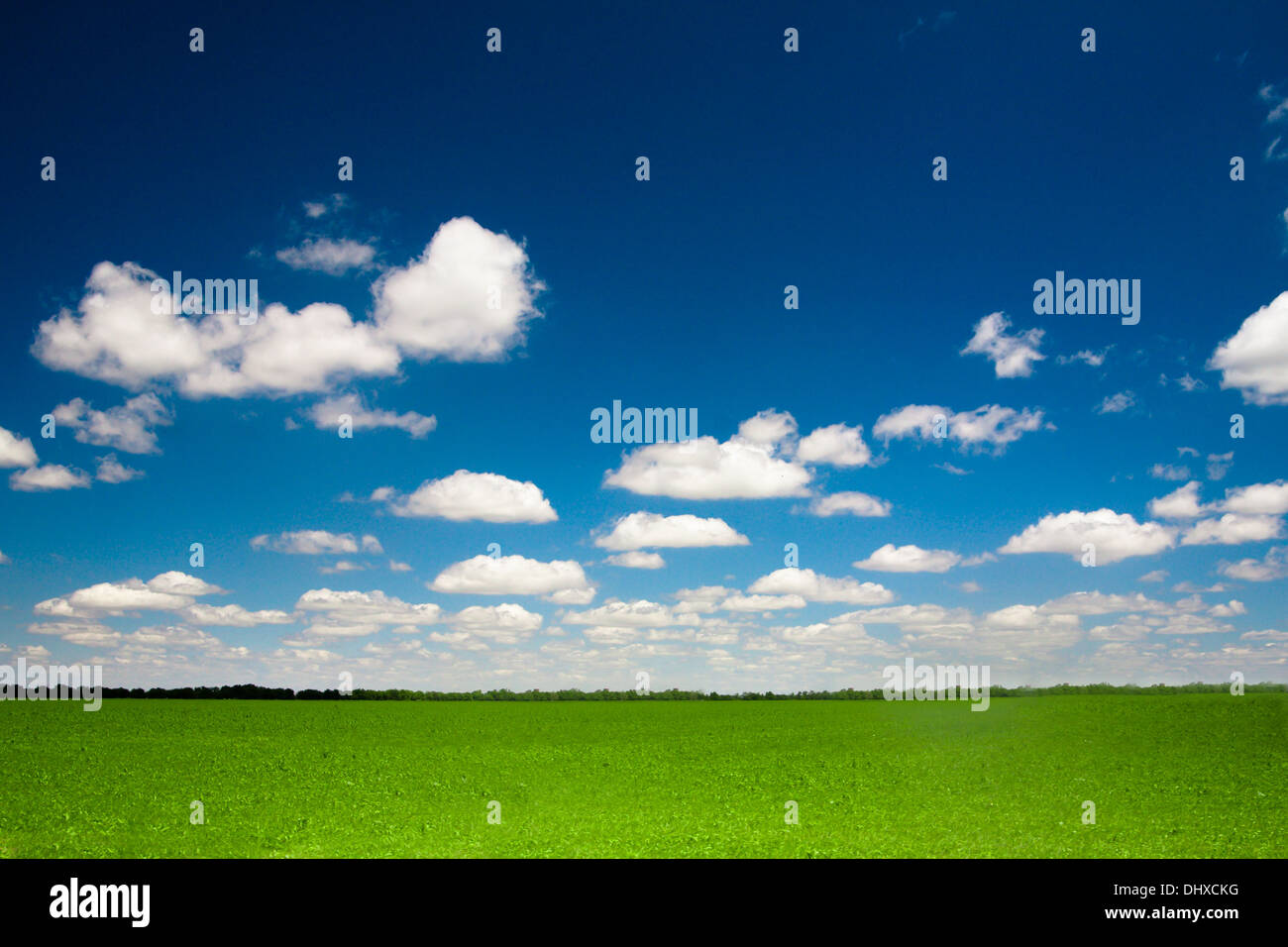 Landscape Nature. The blue sky and clouds Stock Photo - Alamy