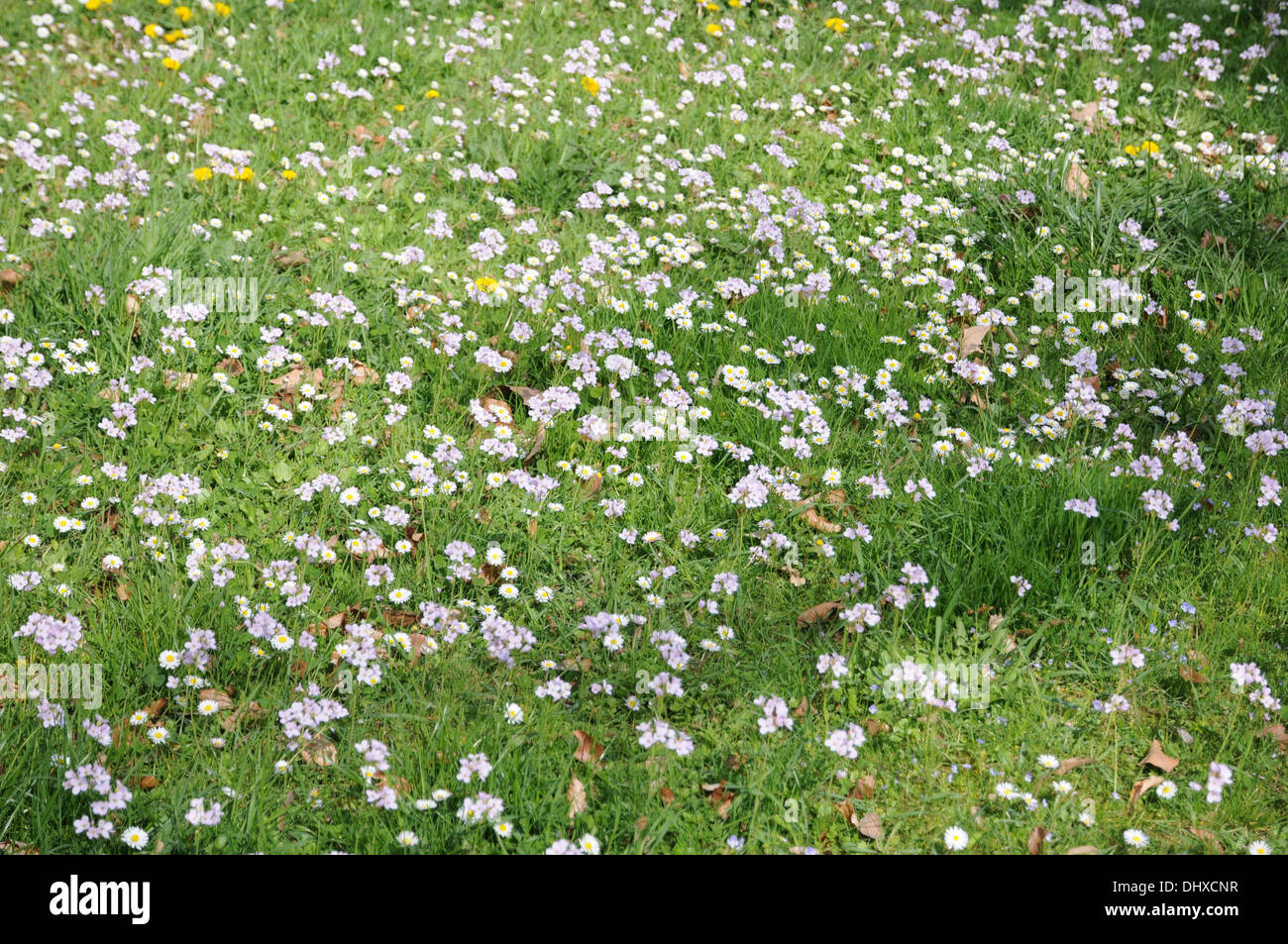 Meadow ladies smock hi-res stock photography and images - Alamy